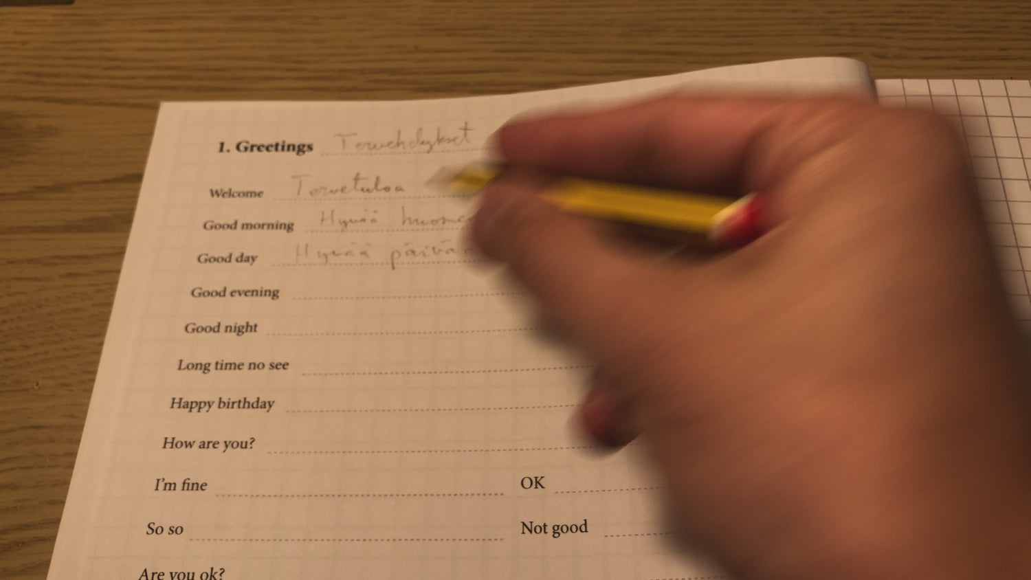 Language learning notebooks – Arctic Polyglots Store