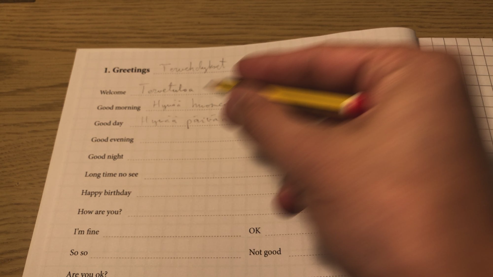 Language learning notebooks – Arctic Polyglots Store